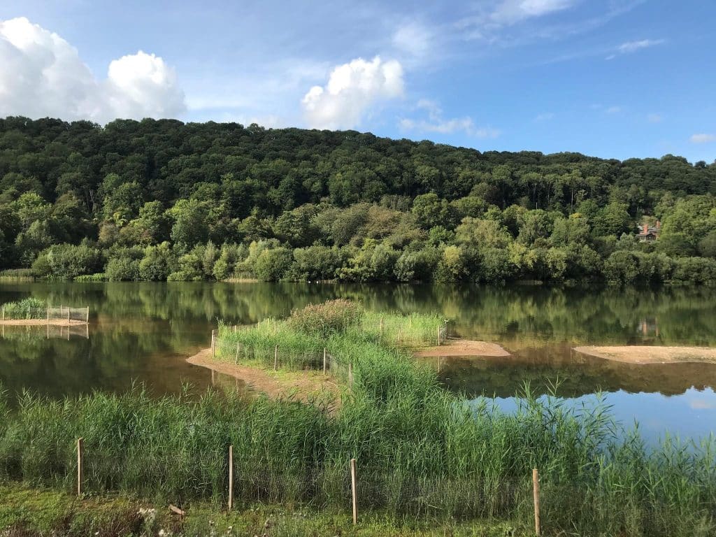 NEWS | Visitors will have to pay to visit Bodenham Lake from tomorrow ...