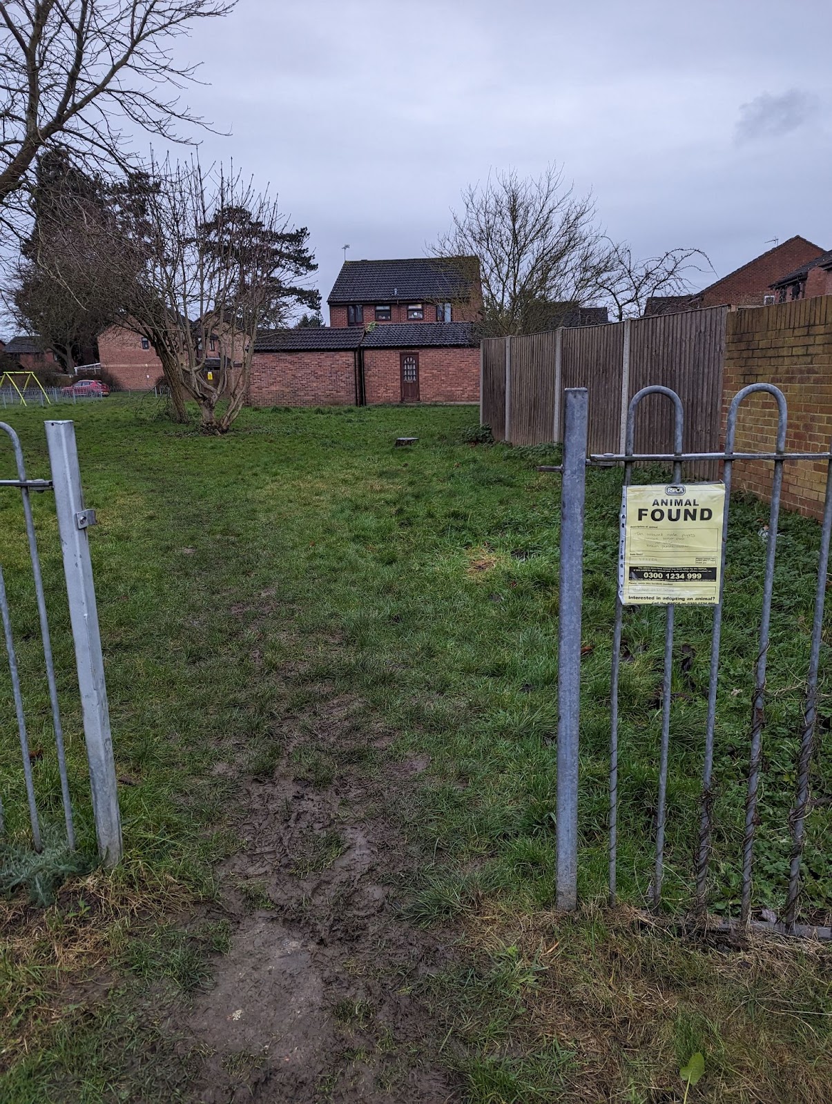 REVEALED | The RSPCA received 169 reports of cruelty to dogs in ...