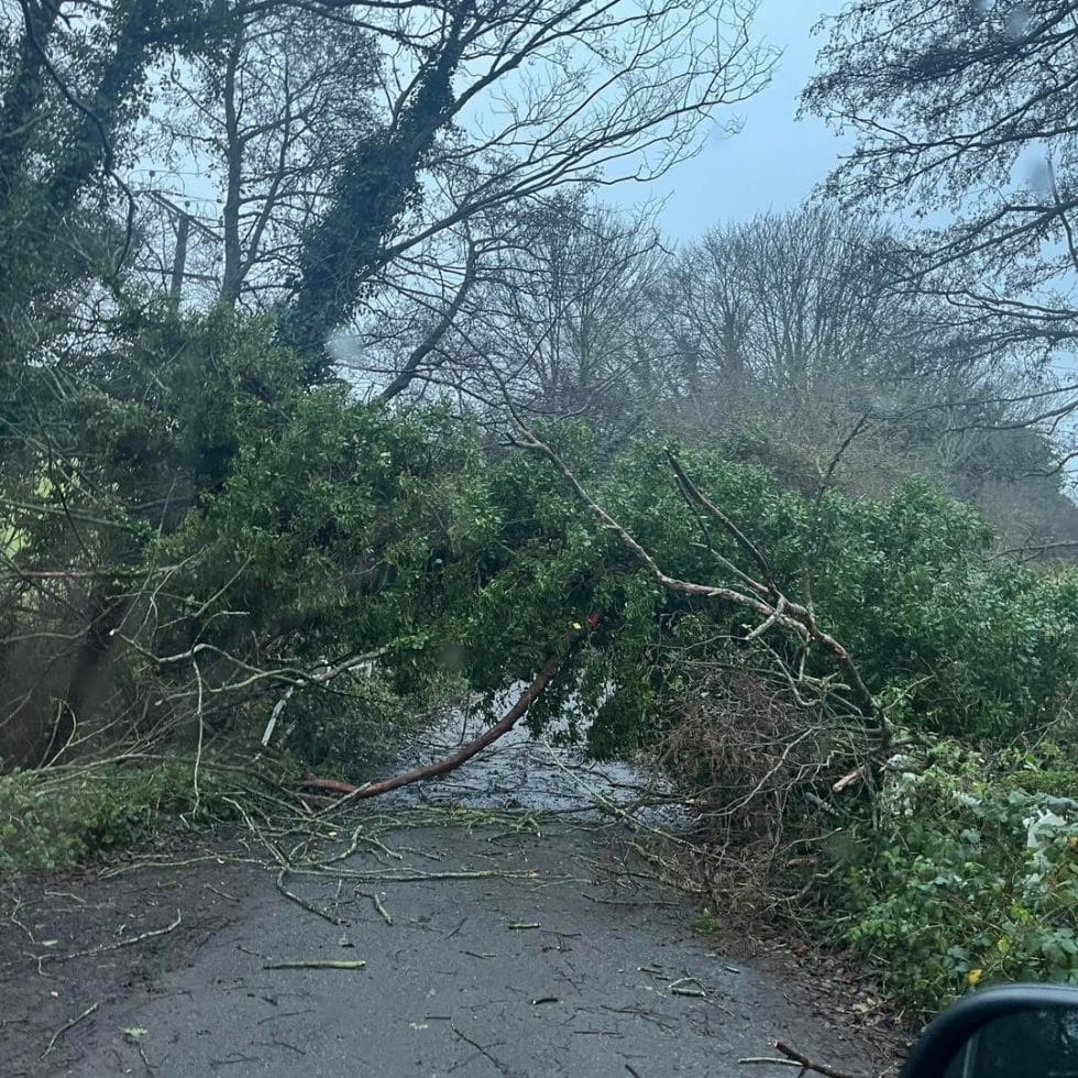 STORM DARRAGH | The Met Office has issued a warning for strong winds ...