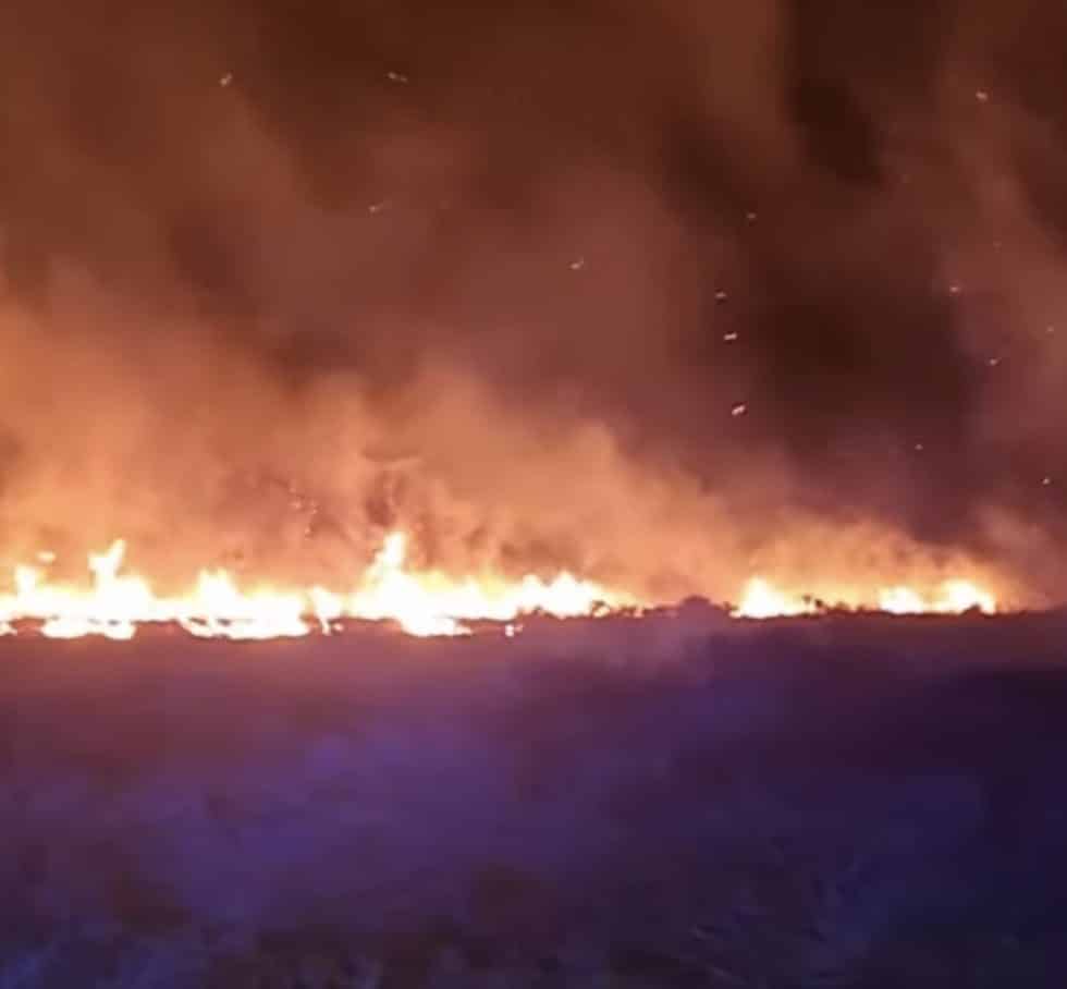 NEWS | Several fire crews spend hours tackling a large wildfire ...