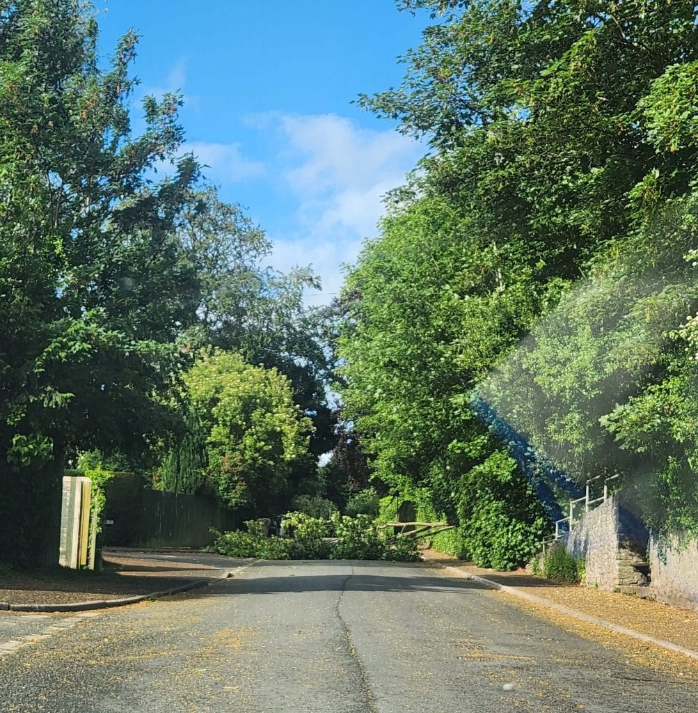 FALLEN TREE | A fallen tree is blocking a busy route in Herefordshire ...