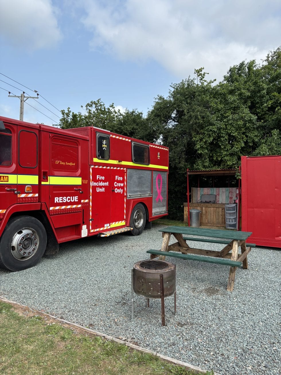 FEATURED | It’s time to visit Kingfisher Meadow this summer - A place ...