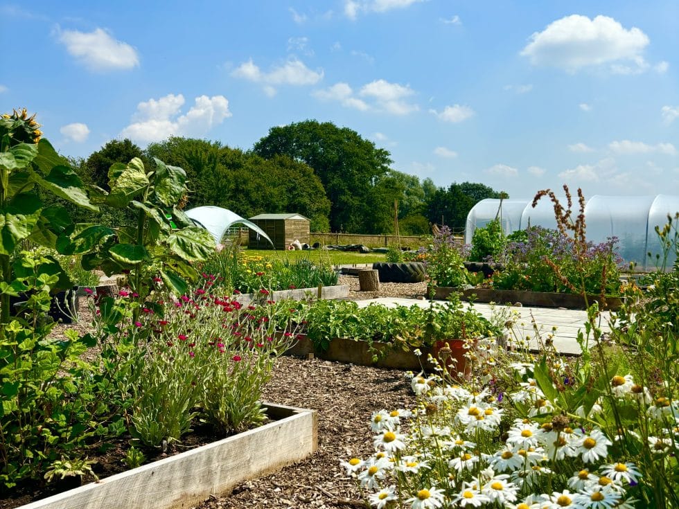 NEWS | Growing Local CIC is celebrating the one-year anniversary of its ...