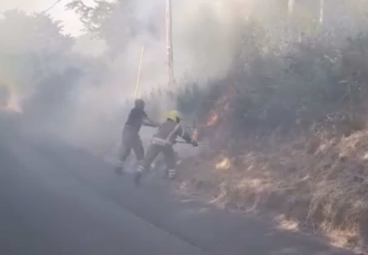 NEWS | Fire crews tackle fire that was close to properties in a ...