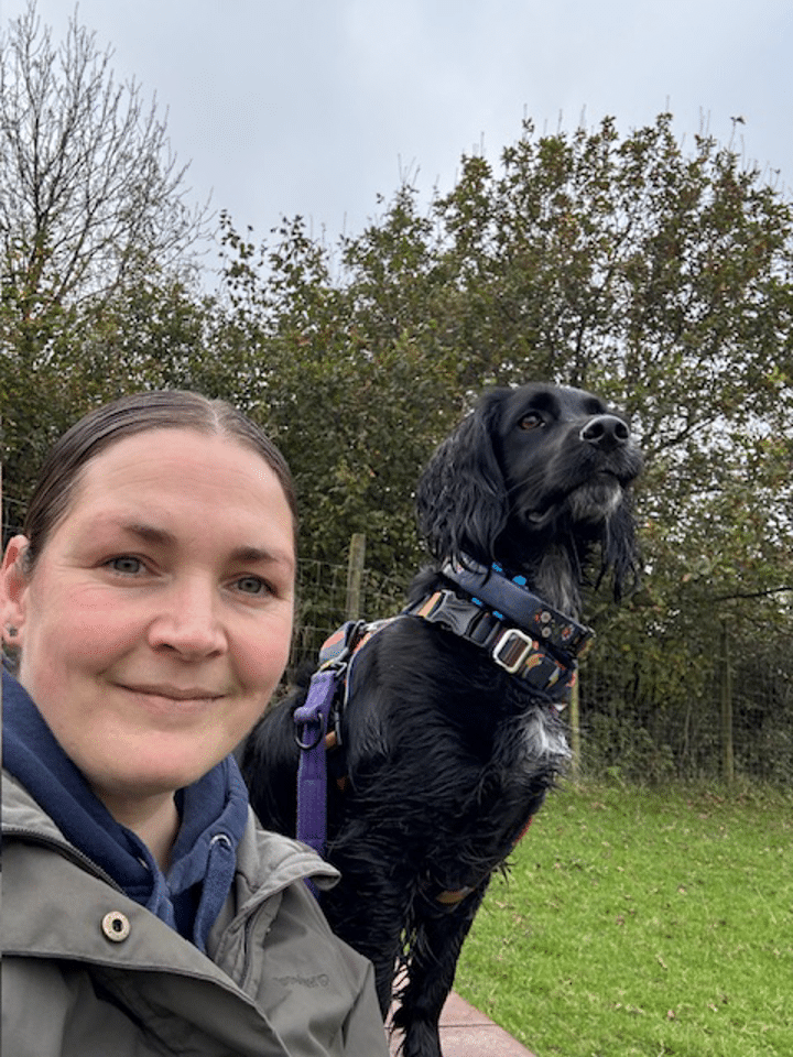 NEWS | edYOUcate Named as a Finalist in Prestigious Animal Star Awards ...